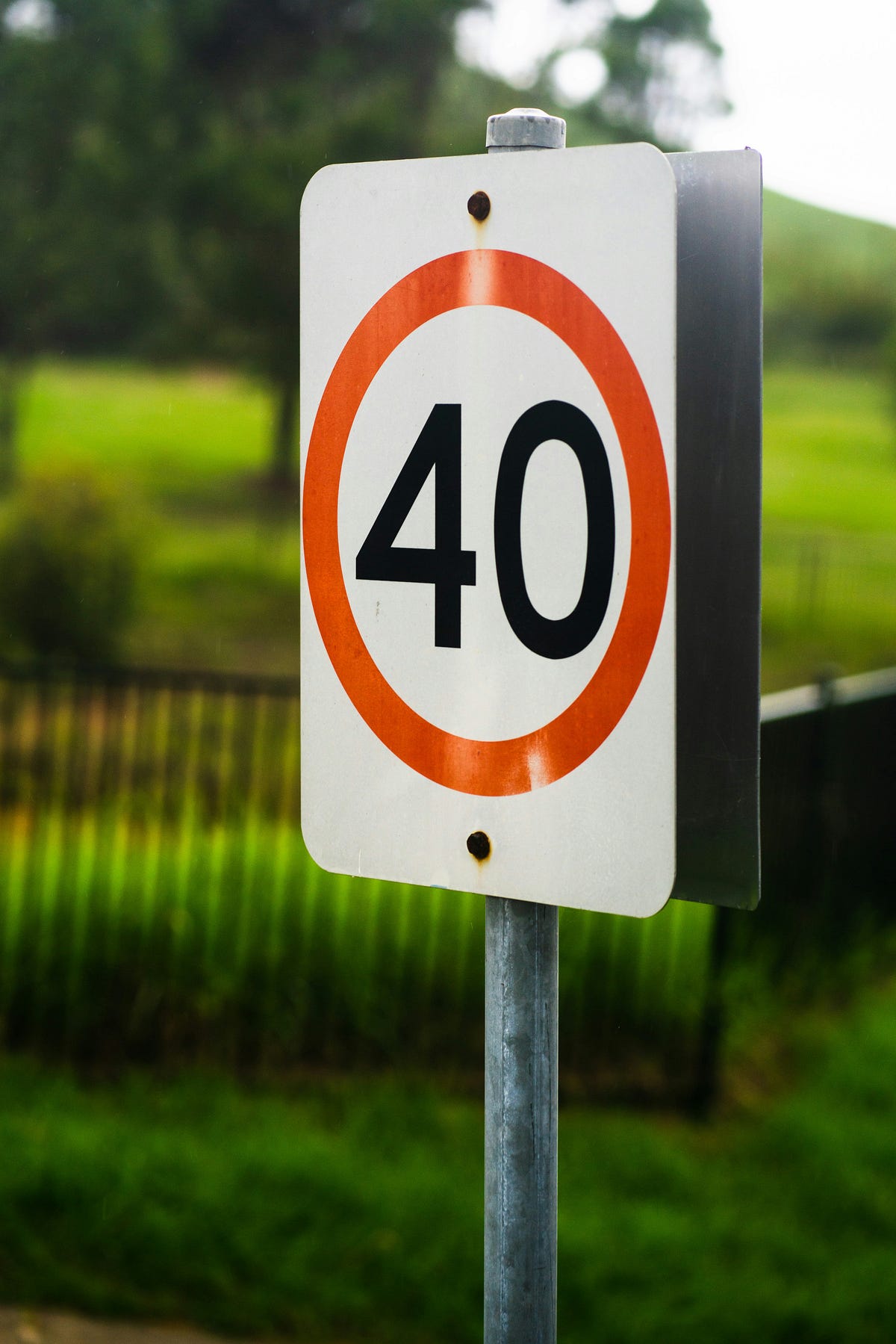 How to Succeed at Life (Even if You Start Late at 40) | by Ria's ...