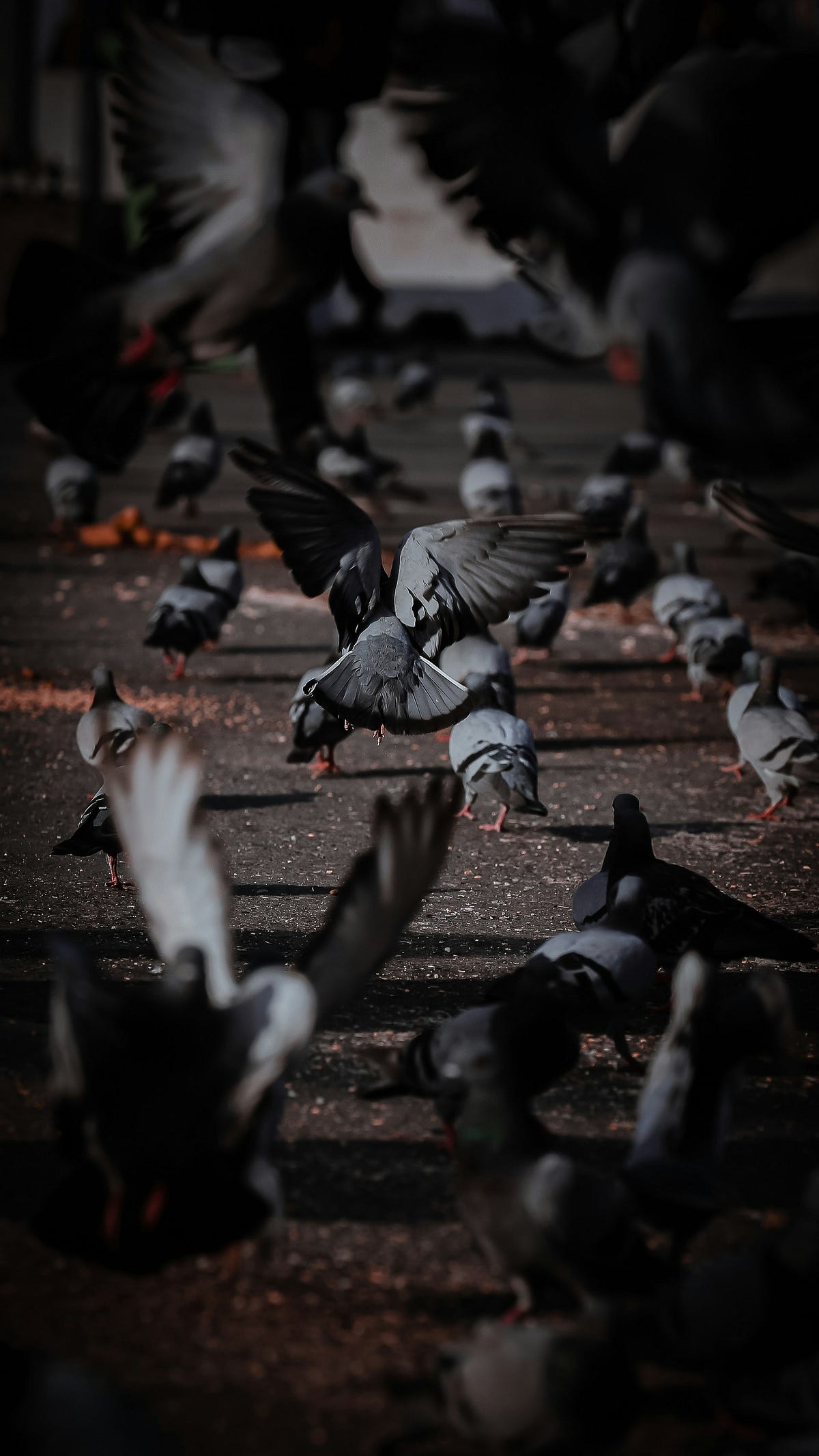 Exploring Concurrency in Python: asyncio, trio, and curio ⚡️🚀 | by ... Exploring Concurrency in Python: asyncio, trio, and curio ⚡️🚀 | by ...