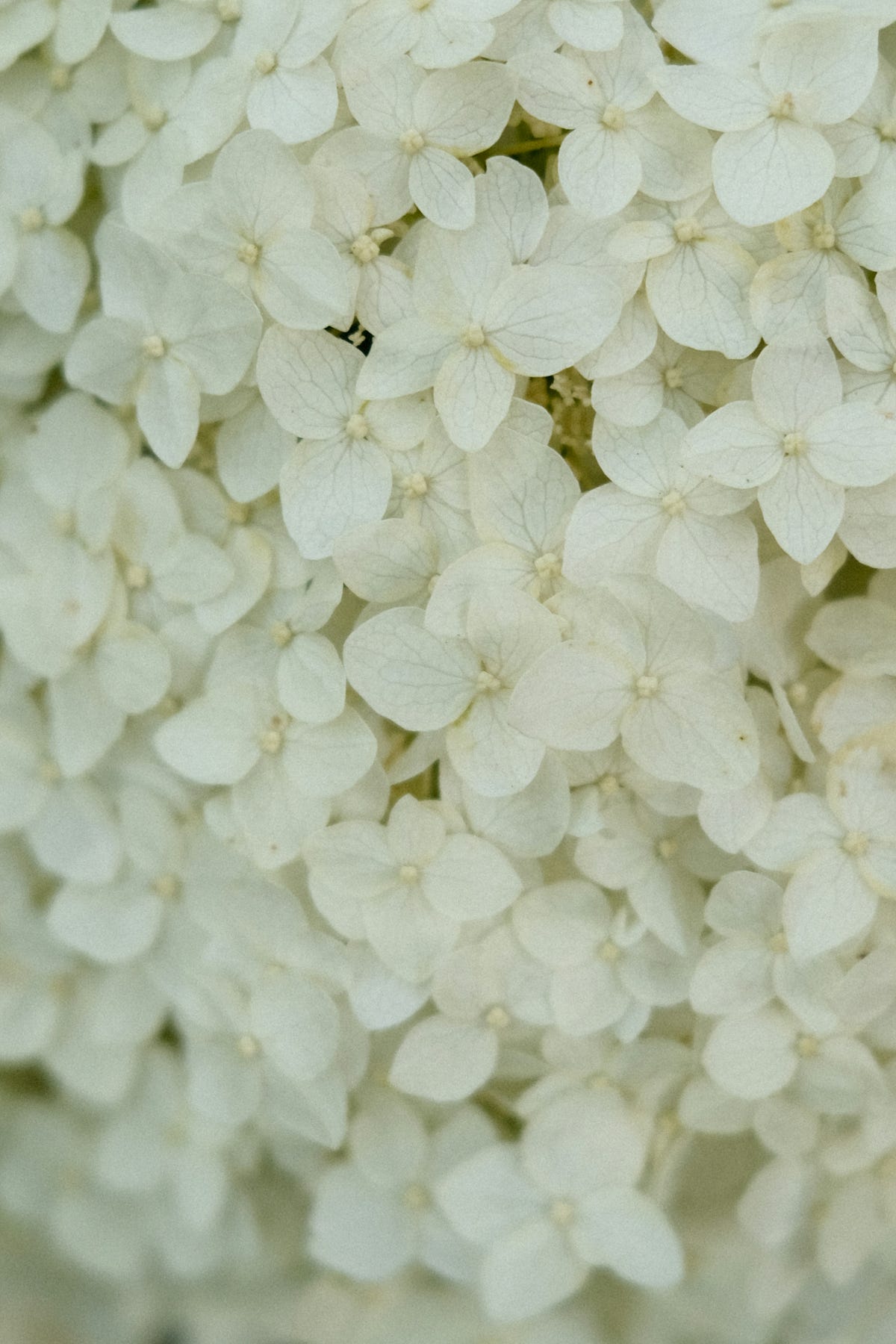 An Unplanned Date. Photo by Kseniia Zapiatkina on Unsplash | by ANANDA | Medium