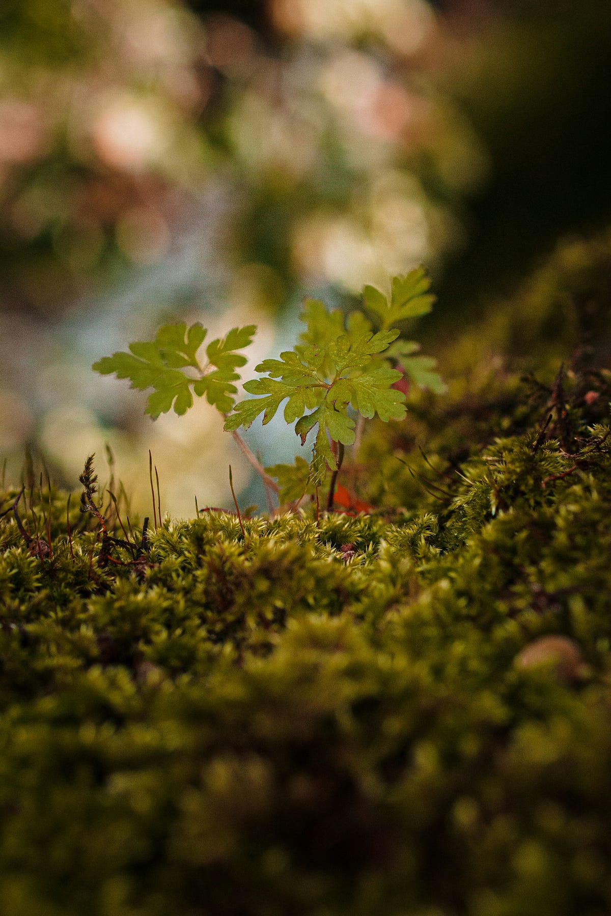[Provision: 6— God gives you power to get wealth] | by Jaira | Aug ...