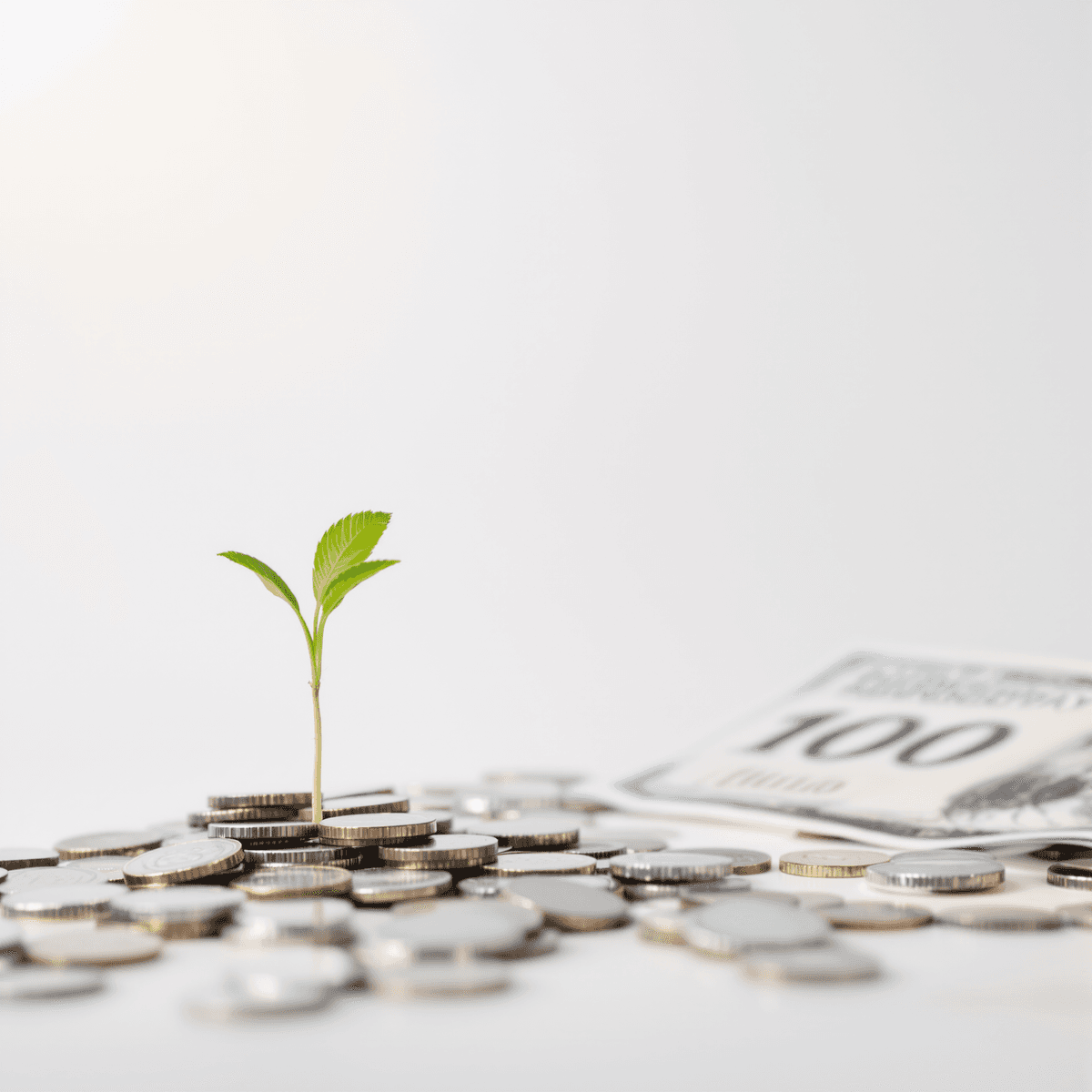What’s the Smartest Way to Invest $100 in 2025?” | by Nanthakumar | Jul ...
