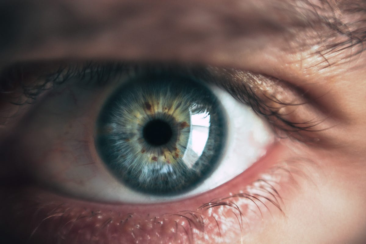 Exploring the Enigma of Sanpaku Eyes: A Glimpse into Ancient Wisdom and ...