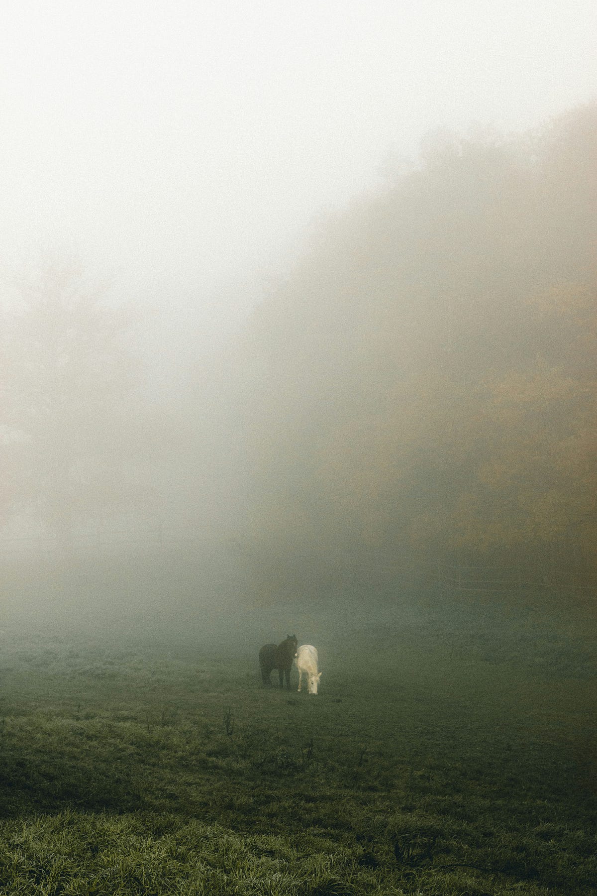 Why do I feel stuck even when I’ve tried my hardest? | by Hugo Pan ...