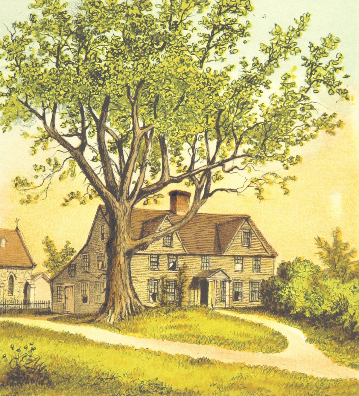 how generous the tree: part i - Tonja E. Betts - Medium