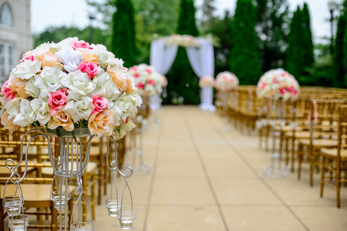 The Special Day - Josephine Gilbert - Medium