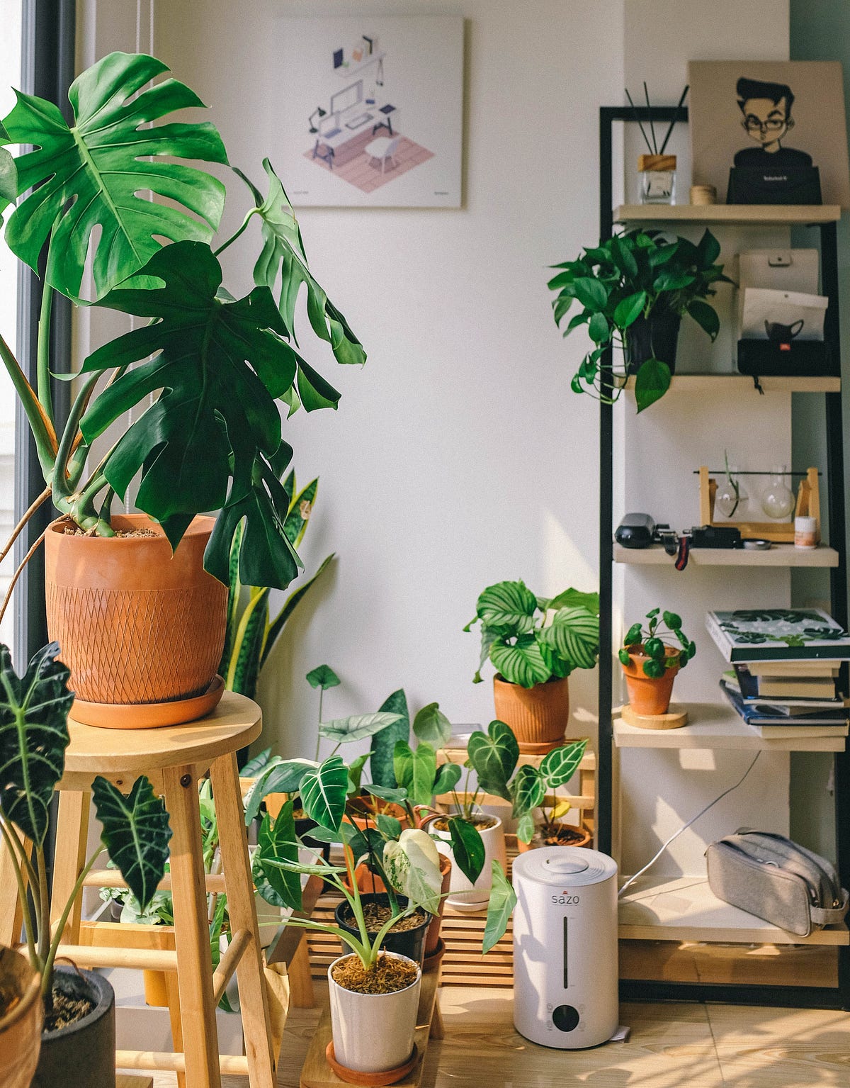 The Language of Plants.. Exploring the Beauty and Significance… | by ...
