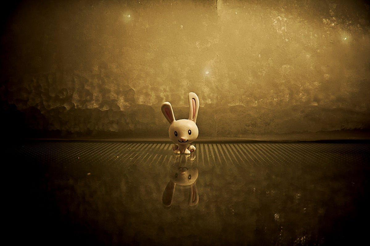 White Rabbit. A poem | by Sonam Arora | Write Under the Moon | May ...