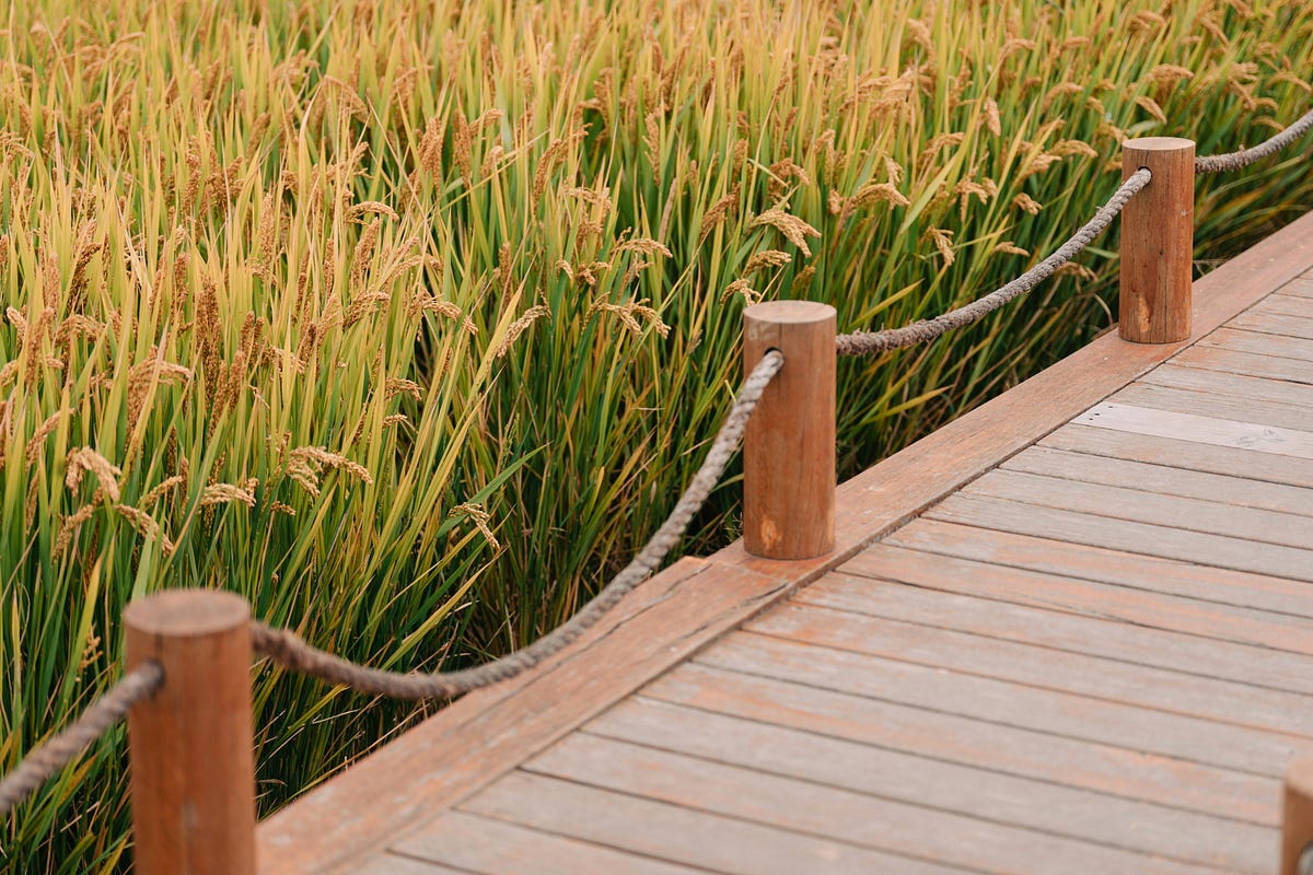 The Non-linear Map of Healing: How Patience and Empathy Form the Bridge ...