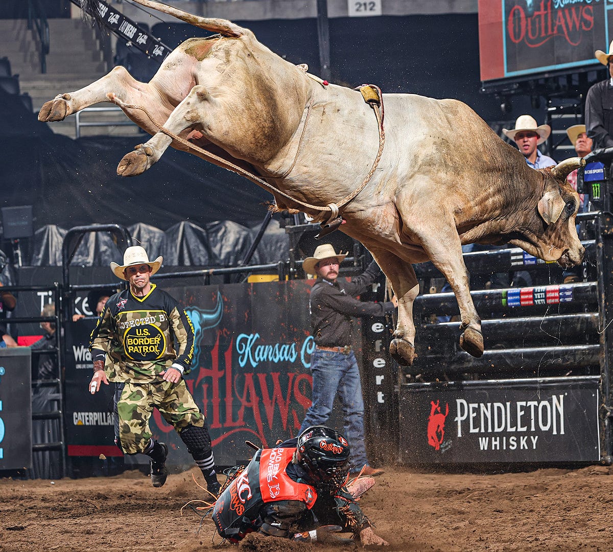 I Have A Strange Obsession With Bullriding. Here’s Why. | by Sean ...