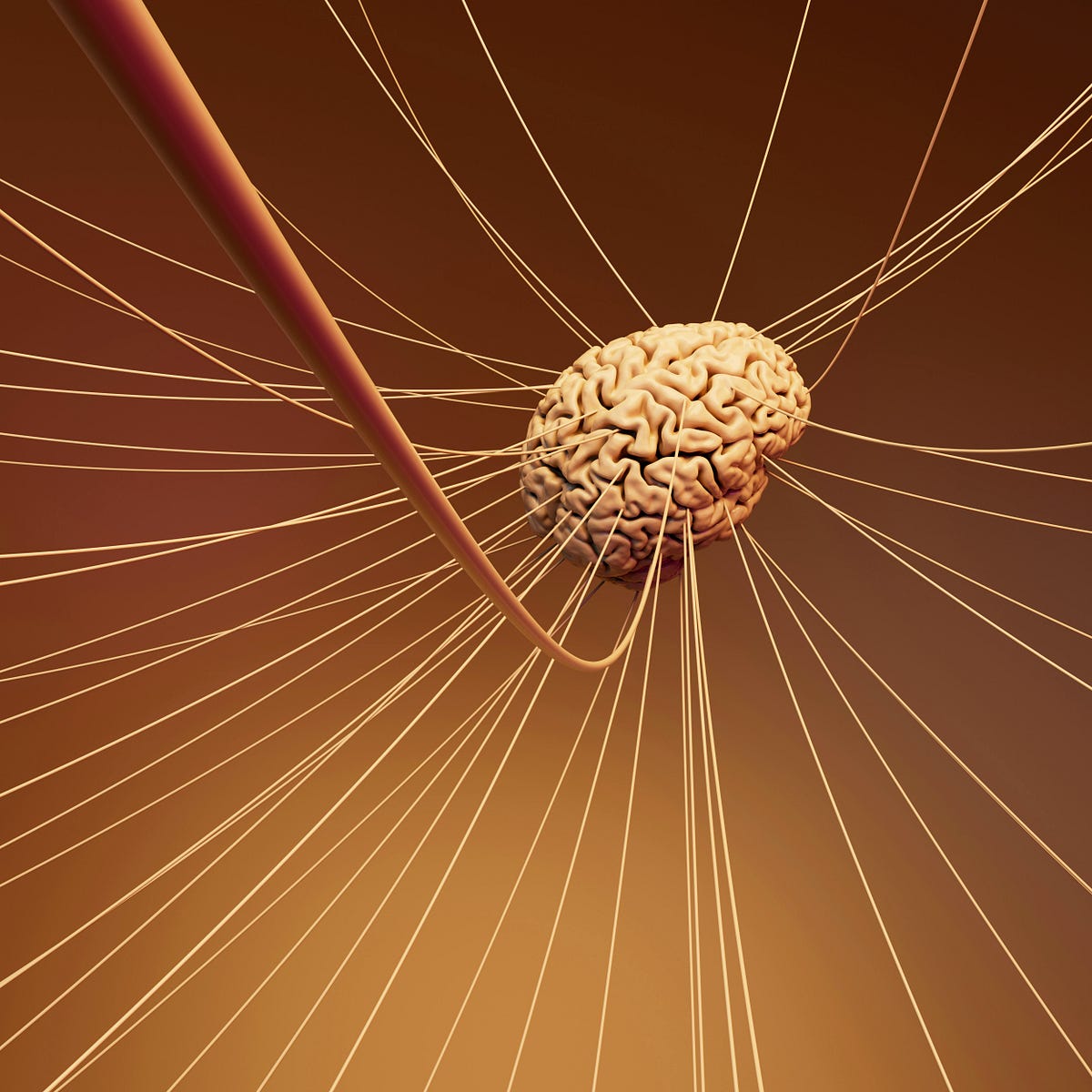 Rewire Your Brain: Unlock Your Full Potential | by Maria Santiago | Medium
