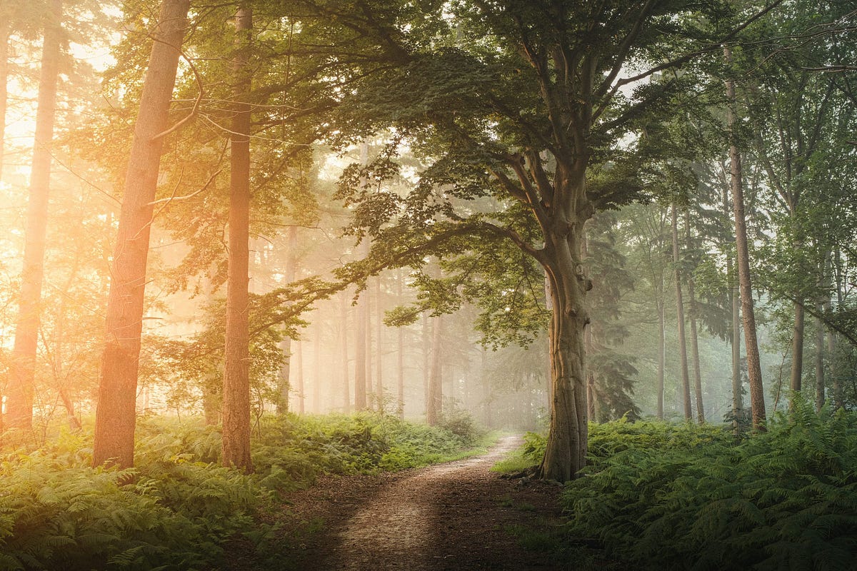 Where Are You Now?. If you have started reading this, you… | by Arpan | The Quiet Insights | Feb ...