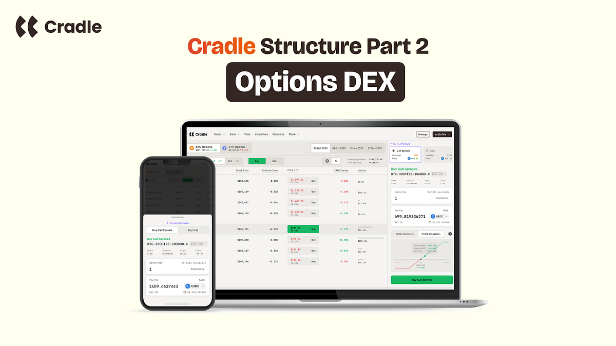 Cradle Structure Part 2. Options DEX | by Cradle DEX | Medium