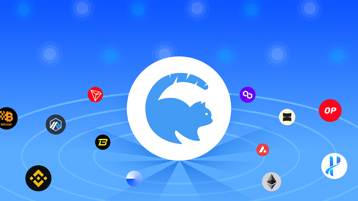 ChainCatcher Interview with CocoCat Co-Founder: Cutting Costs by Over ...