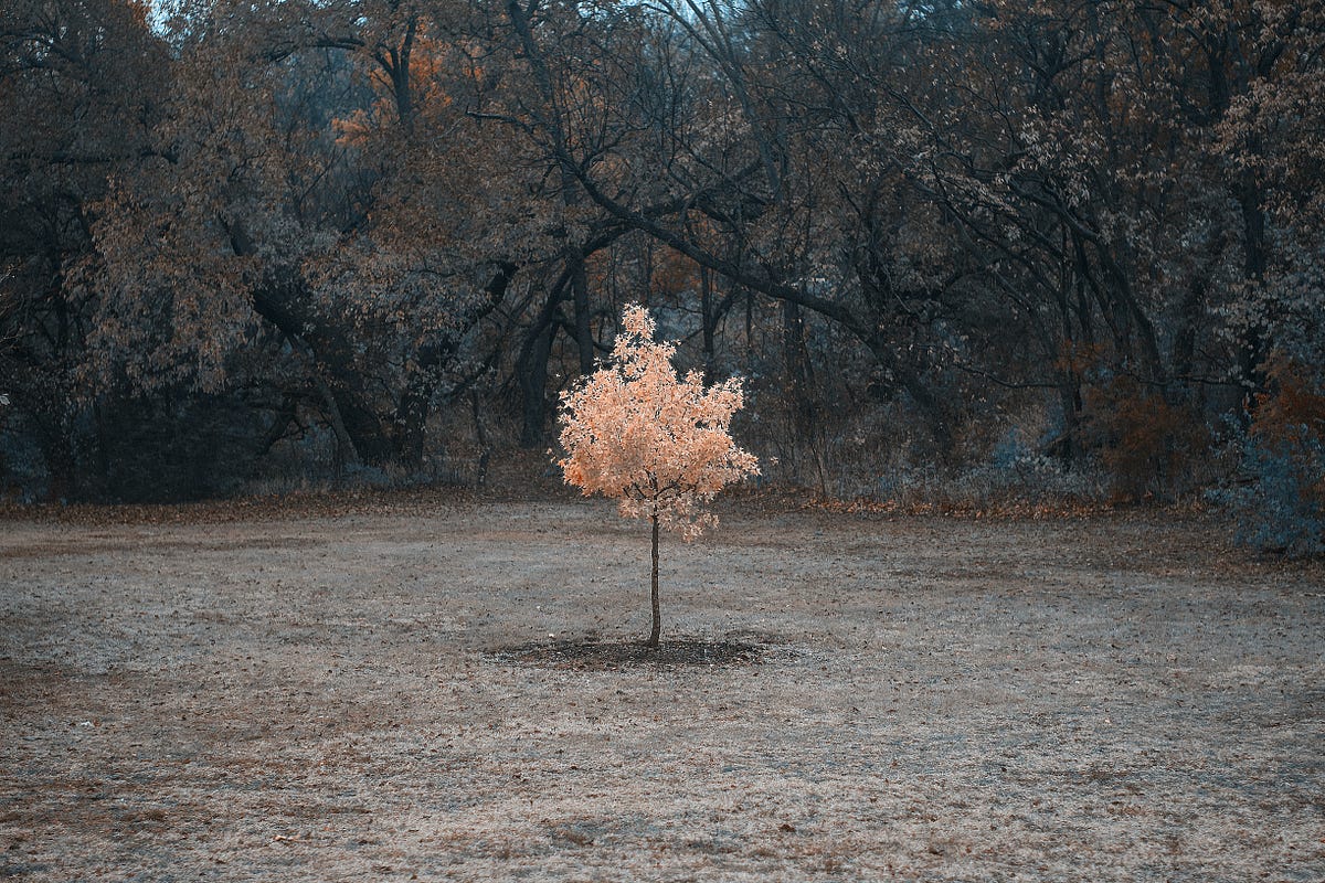 Implementing Unit Tests for a Reactive App that uses Spring WebFlux and ... Implementing Unit Tests for a Reactive App that uses Spring WebFlux and ...