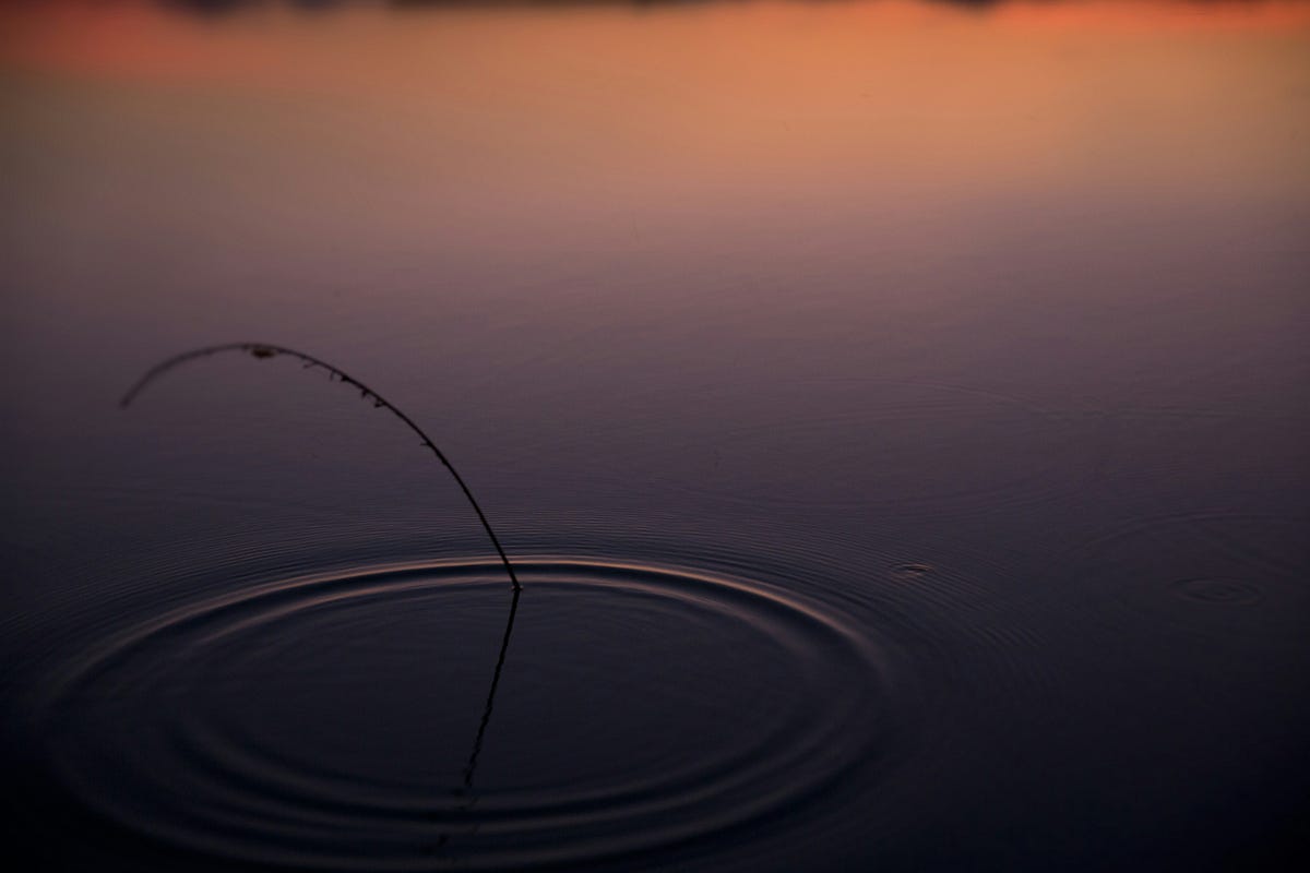 Echoes Within - The Shortform - Medium