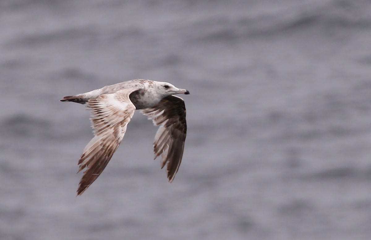 How to overcome inner fear?. Fear is a natural human emotion that… | by ...