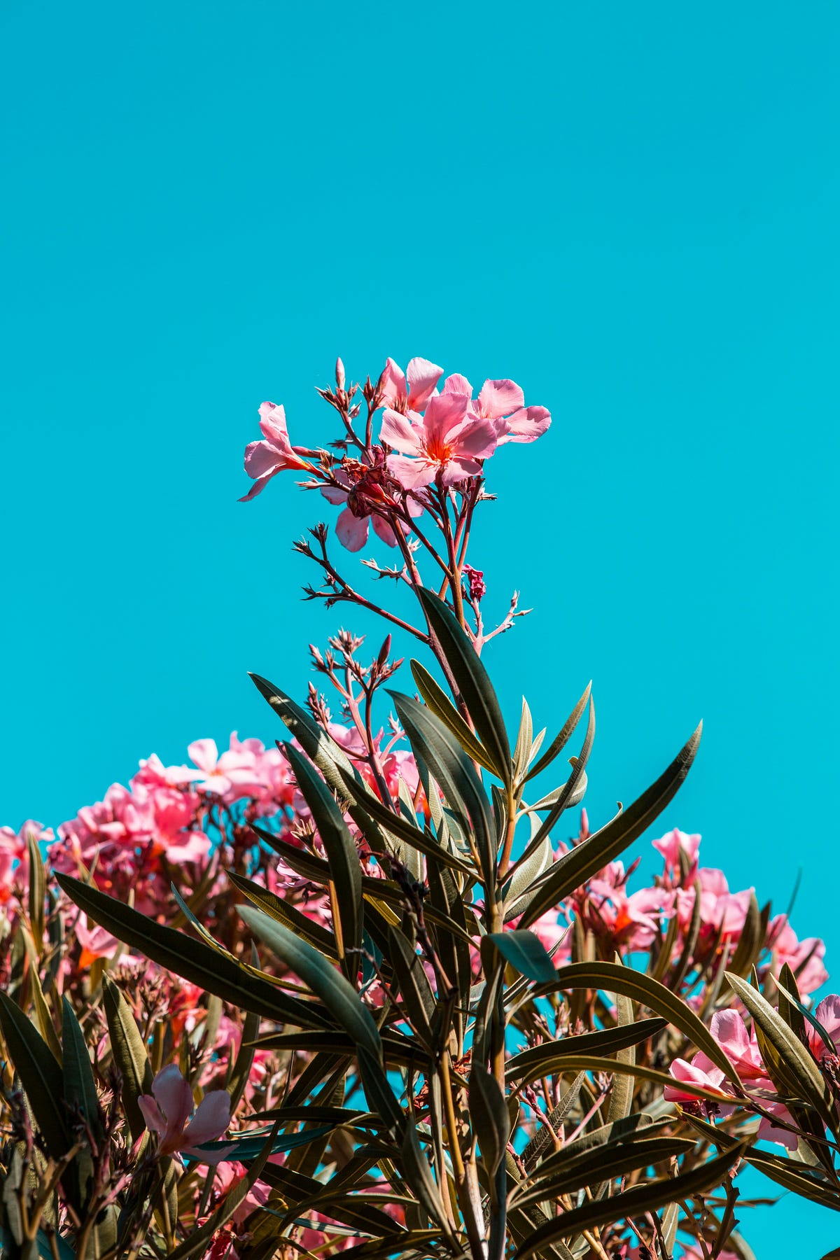 Not Everyone Deserves Your Vibe. Protect Your Energy | by Maruf | Medium