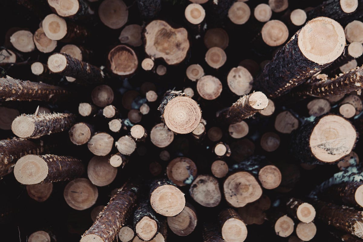 Log4J2 and JUnit 5 | How to test logs with JUnit 5 | by Manserpatrice ...