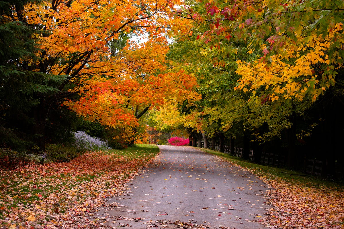 One October Night - The Lark Publication - Medium