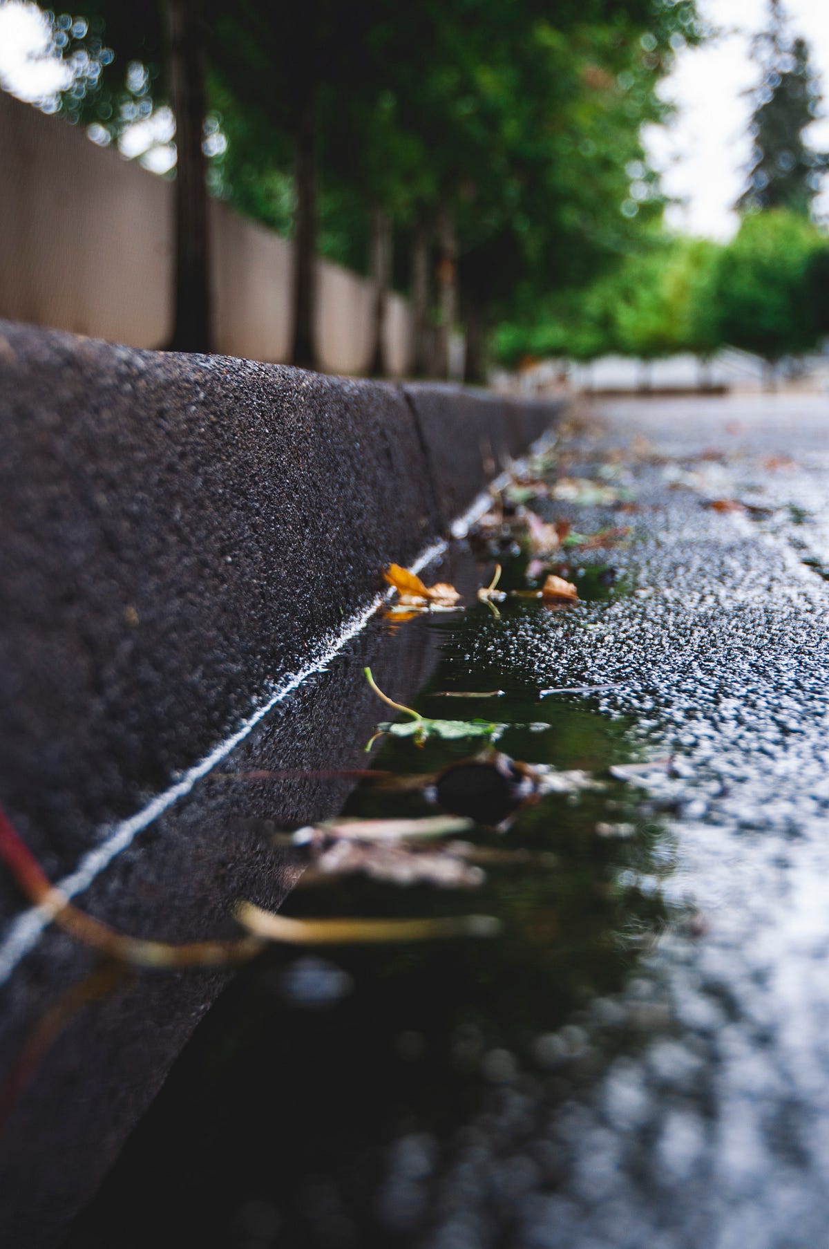 Sidewalk Circumstance. A poem of relativity | by Skye Nicholson | The ...