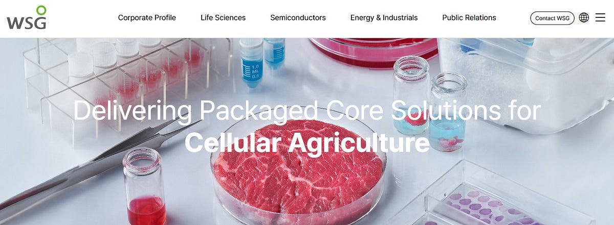 WSG CREST - Robertspeck - Medium