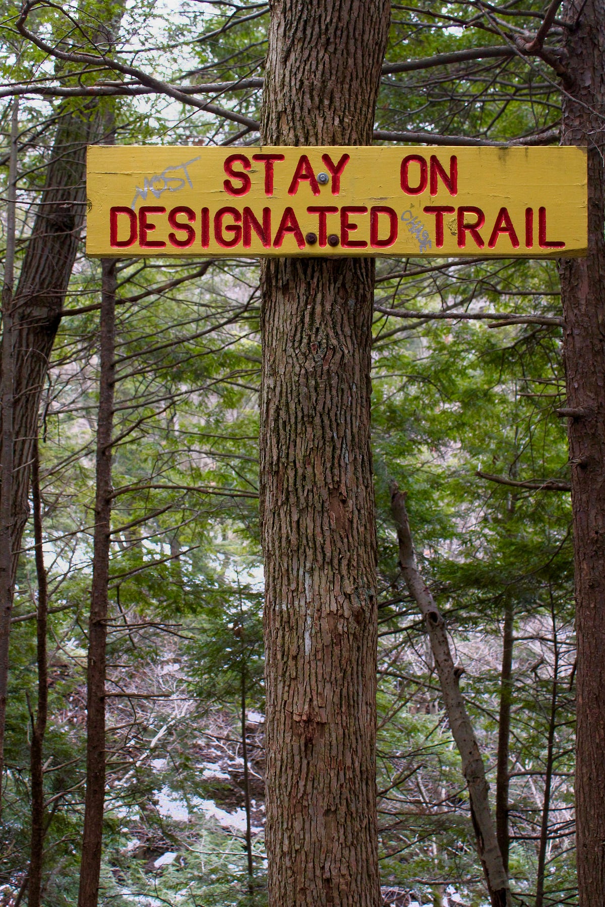 The Writing Night /#4. The benefit of PASSIVE-AGRESSIVE… | by Danila Katkin | Medium