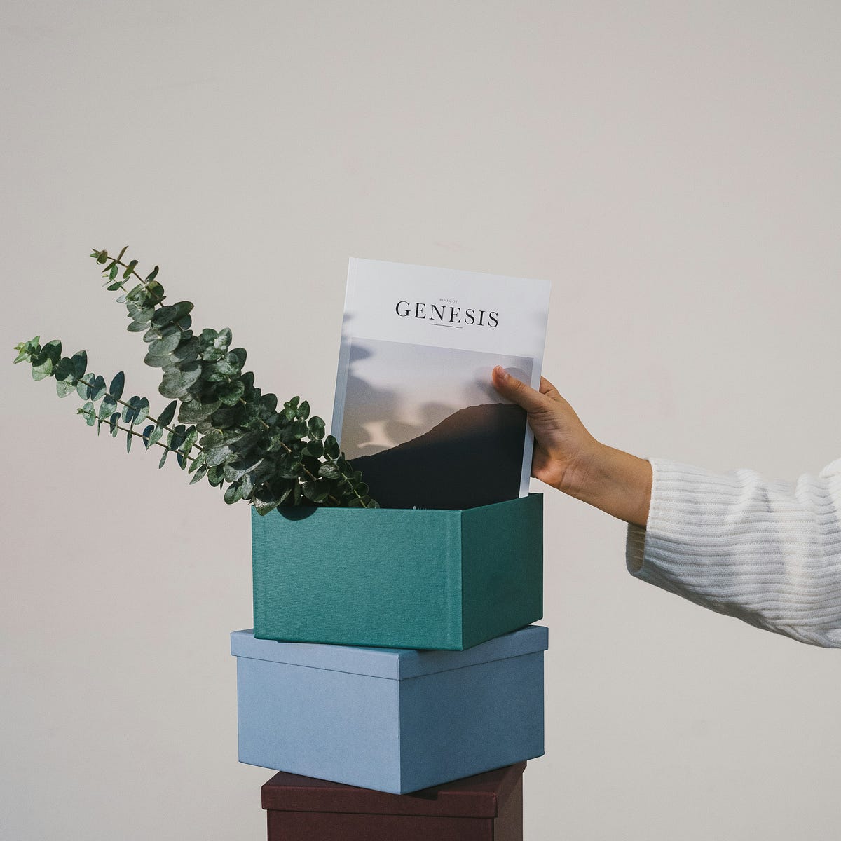 I Read the Entire Book of Genesis in One Sitting. Here’s What I Learned ...