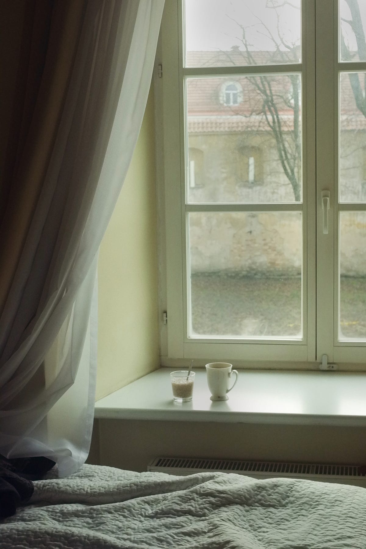 Discovering the Reason for This Day | by John C. Davis | Medium