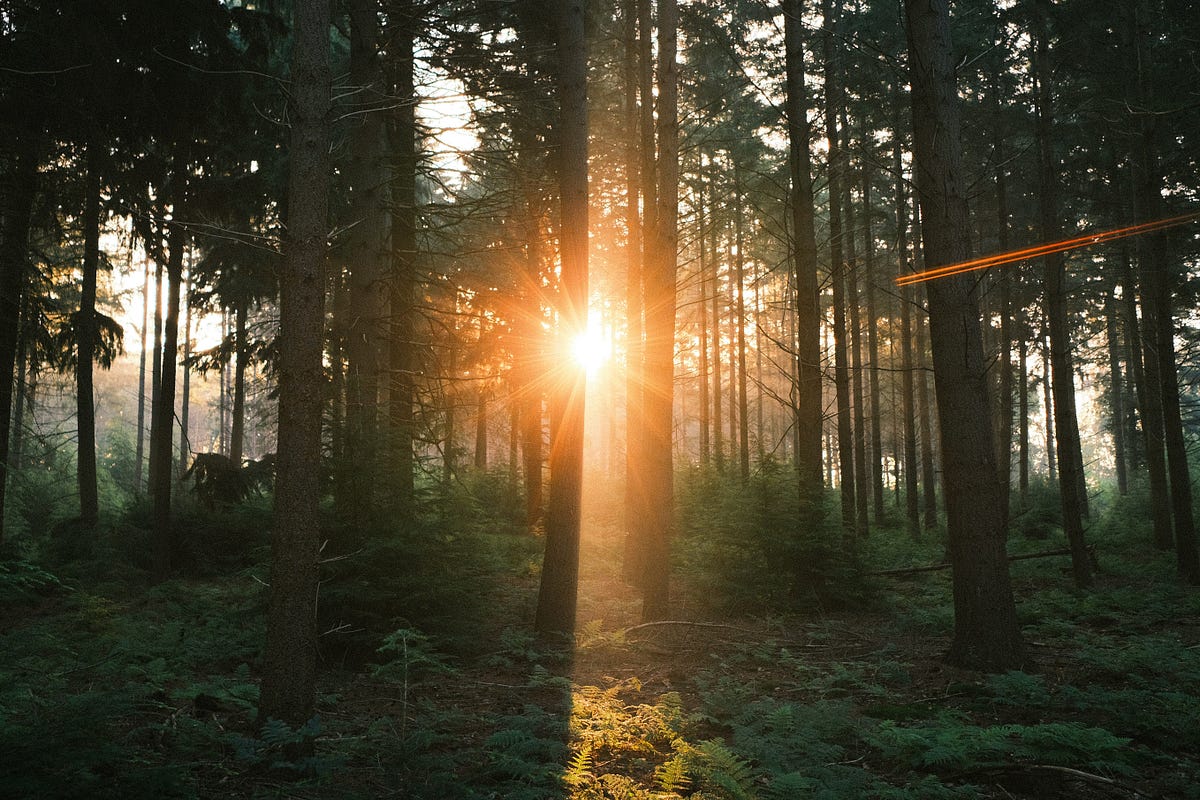 The Apology That Gave Me Back To Myself | by Ya_Aina | Know Thyself, Heal Thyself | Feb, 2025 ...