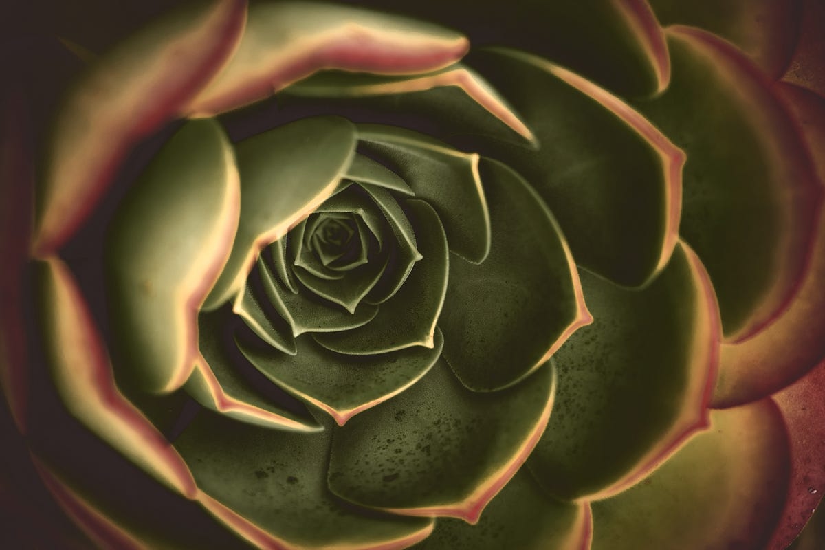 Generate Fibonacci Series — The Pythonic way | by Dinesh Kumar K B ...