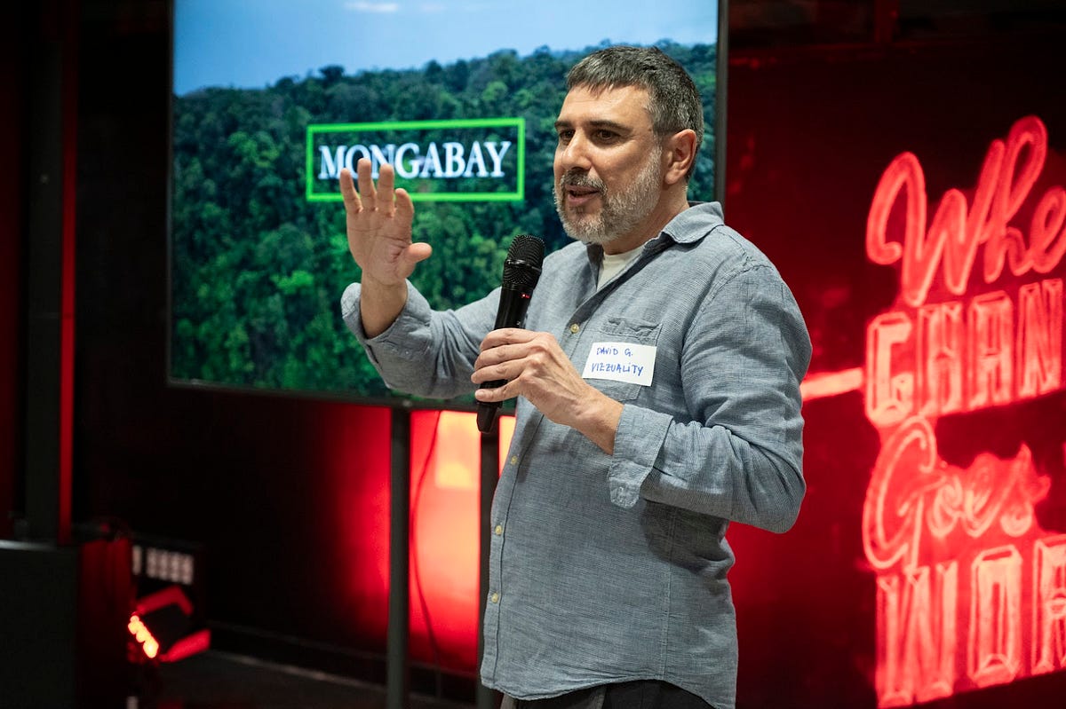 Introducing Mongabay Data Studio: Impactful Tools For Environmental Action | by Vizzuality ...