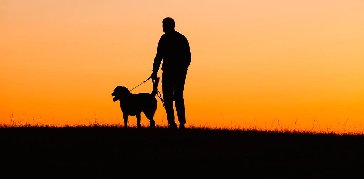 The Unconditional Love Between Man and Dog: A Bond Like No Other | by ...
