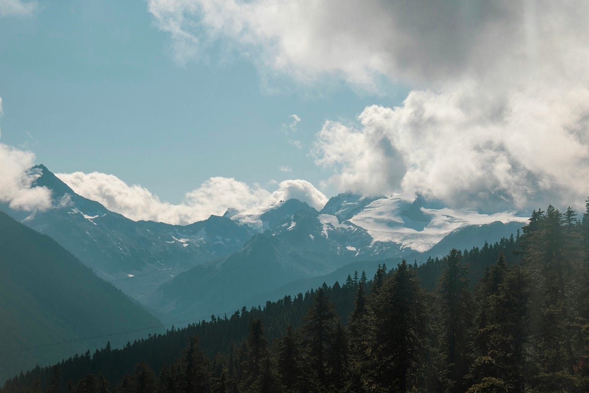 About Me — Cindy Martindale. My newest and biggest mind adjustment ...
