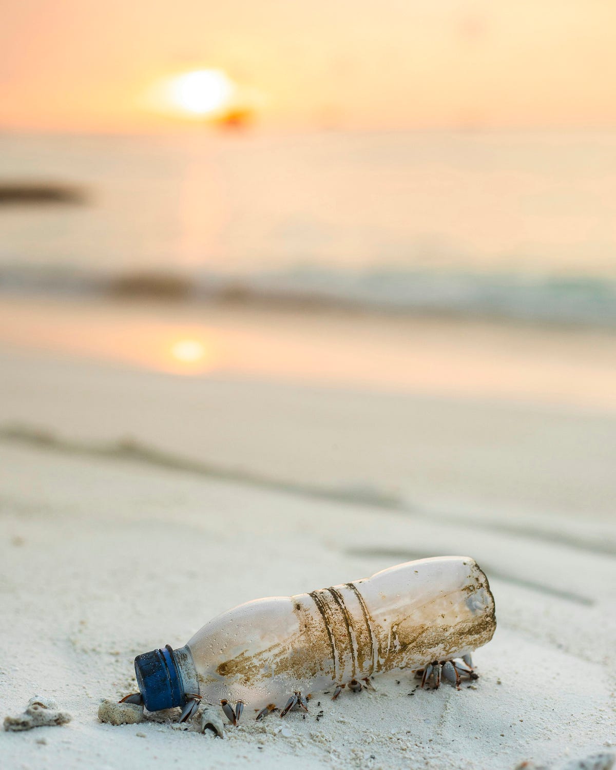 Stop Trying to Force People to Ditch Plastic. Make Them Want To. | by ...