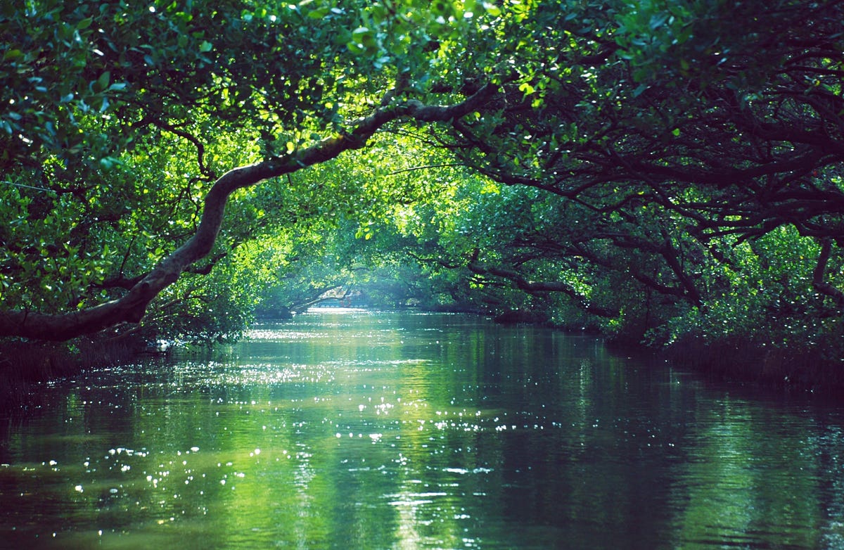 We Don’t Remember How to Live in Spirit | by Ted Czukor | Apr, 2026 ...