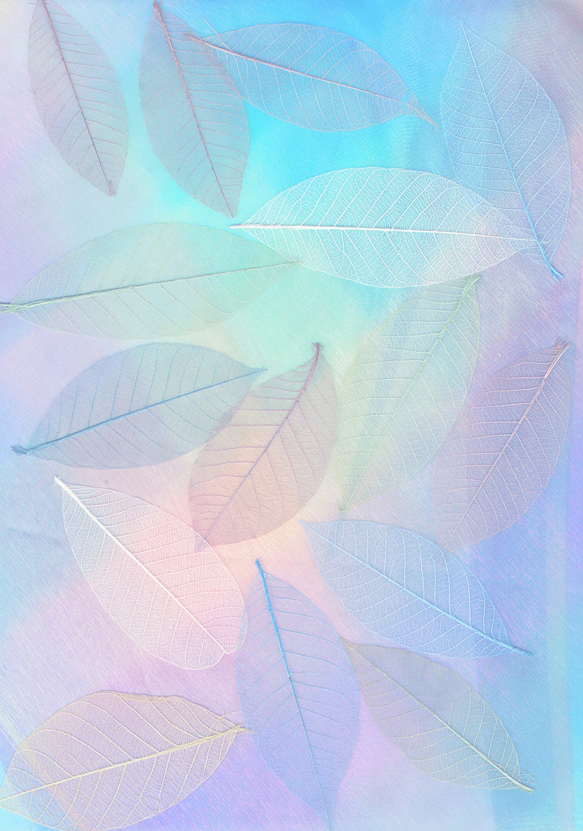 Beautiful Disaster - Sarah Tagert Changing The World With My Stories ...