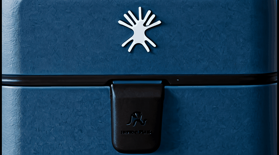 The Best Hydro Flask Lunch Boxes | by Reagan Ward | Medium