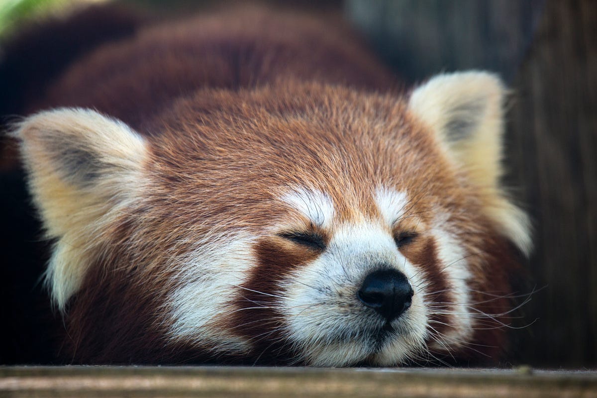 5 Useful Pandas Functions Reimplemented In Pyspark | by Edwin Tan | TDS ...