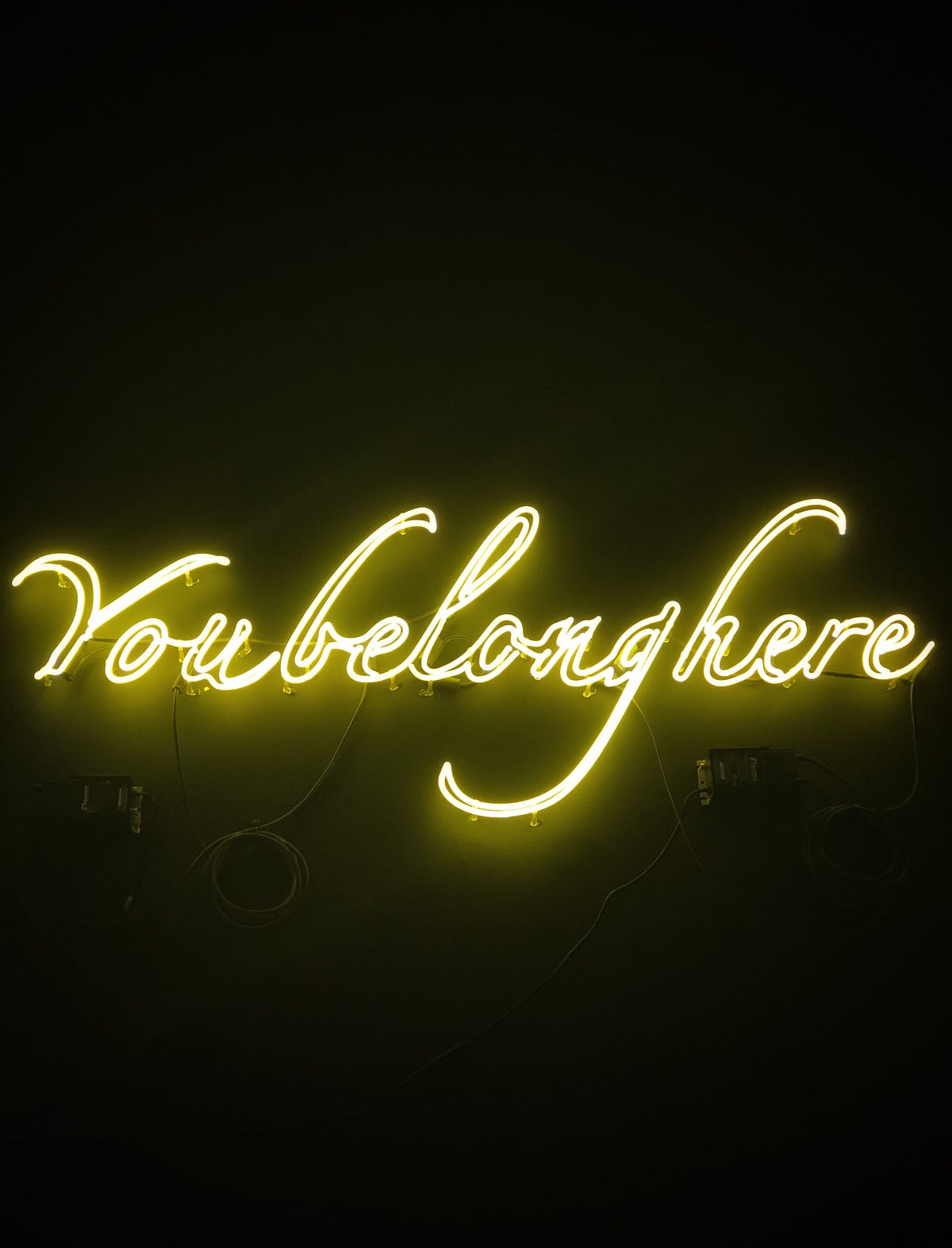 Finding Your Place in Society: Embracing Your Uniqueness and Thriving ...