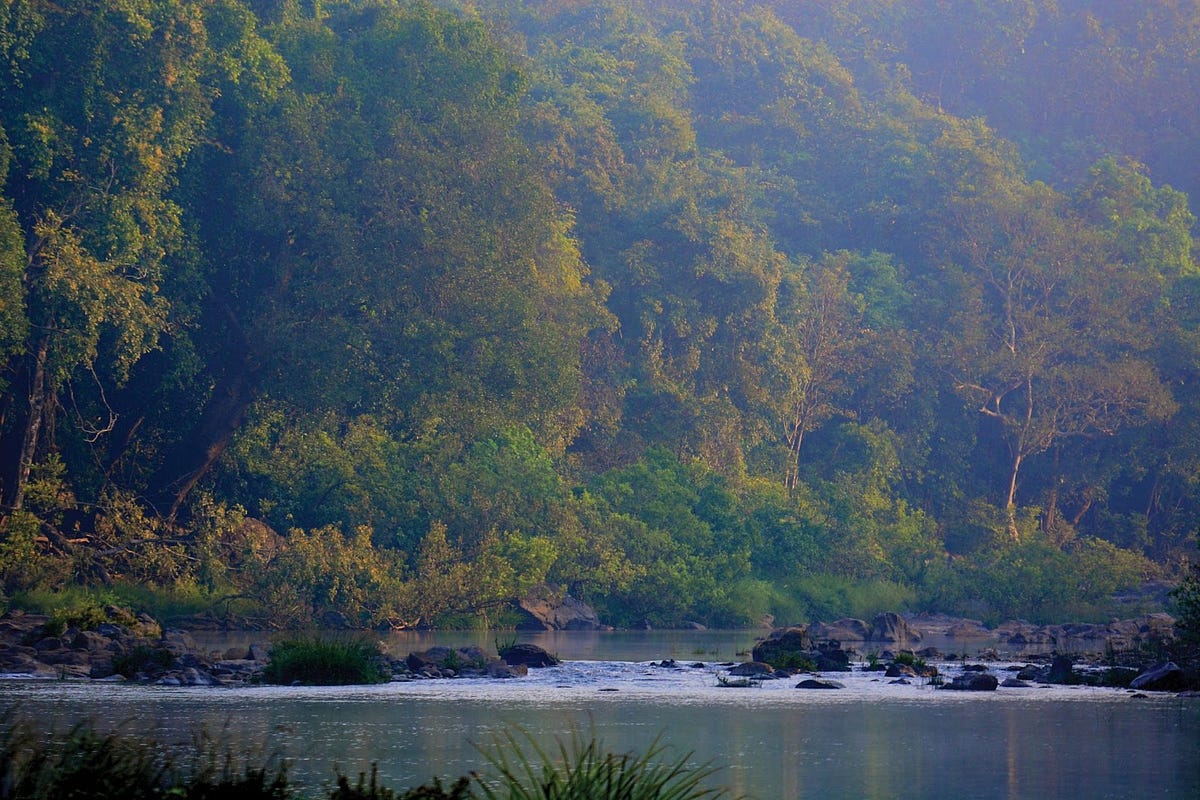 March Wildlife Safari: Discovering Goa’s Biodiversity and Nature ...