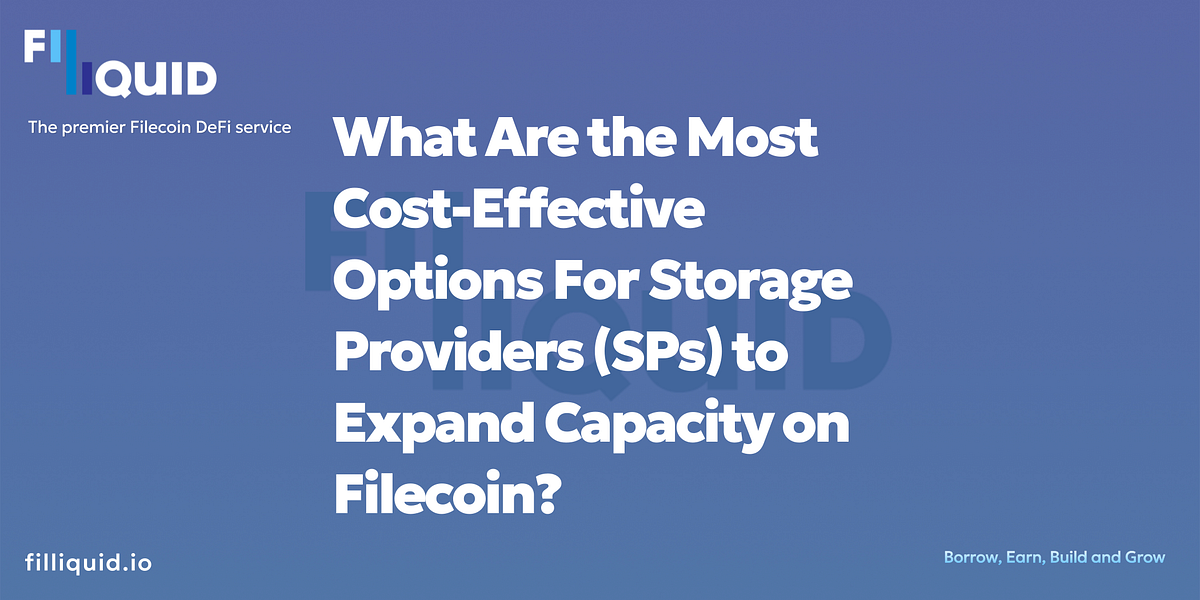 What Are the Most Cost-Effective Options For Storage Providers (SPs) to ...