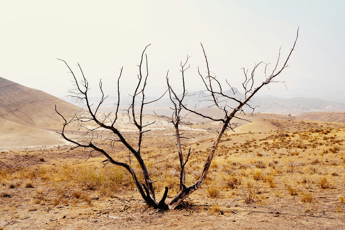 When You’re Spiritually Tired and Honestly a Little Fed-Up | by Gary L ...