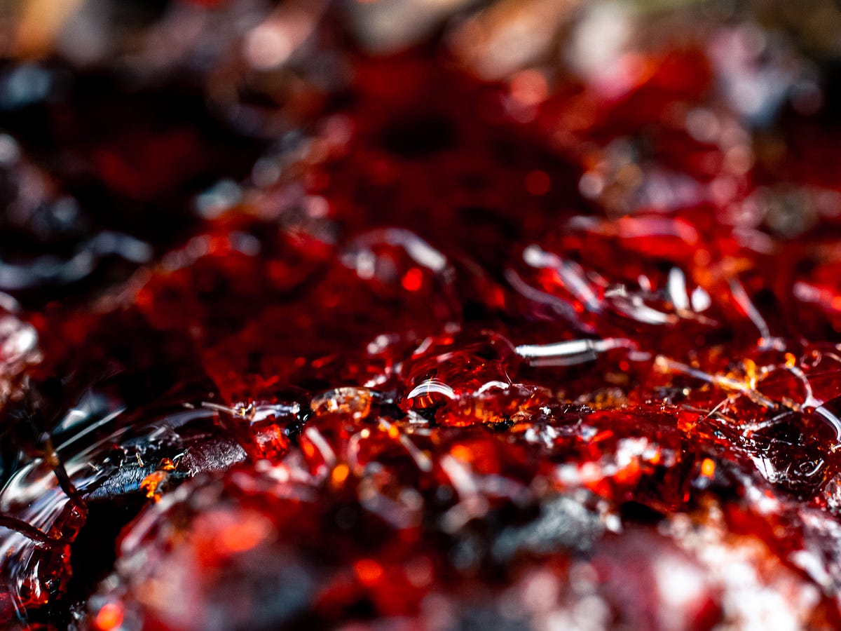 Self-Sapping Sapper. Poem Exploring Cleansing | by Ilija Begic | ILLUMINATION | Medium