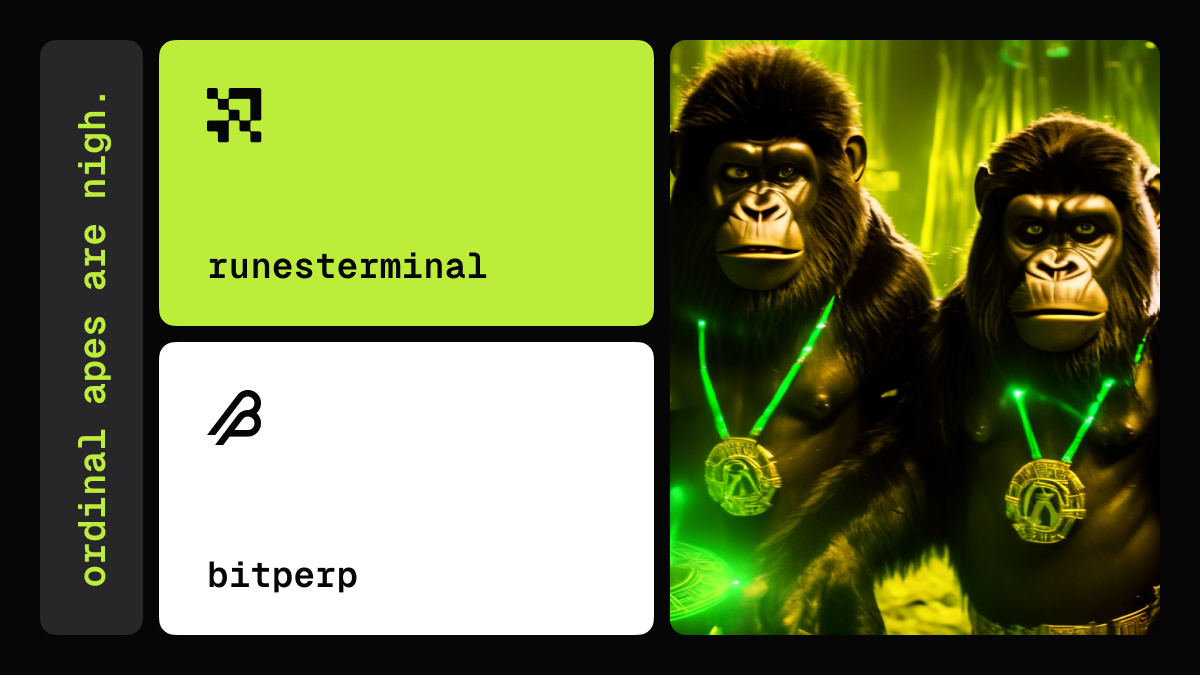 Perpetual Friends: RunesTerminal x BitPerp | by BtcTerminal | Medium