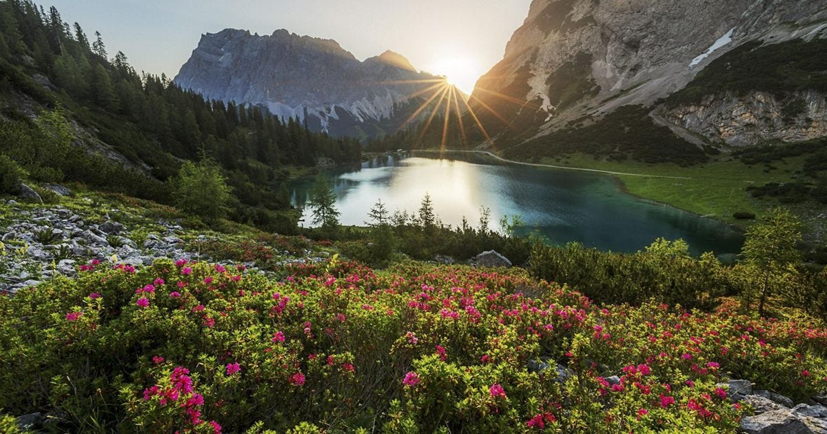 When is performatism not performatism? | by Unihorse | Medium