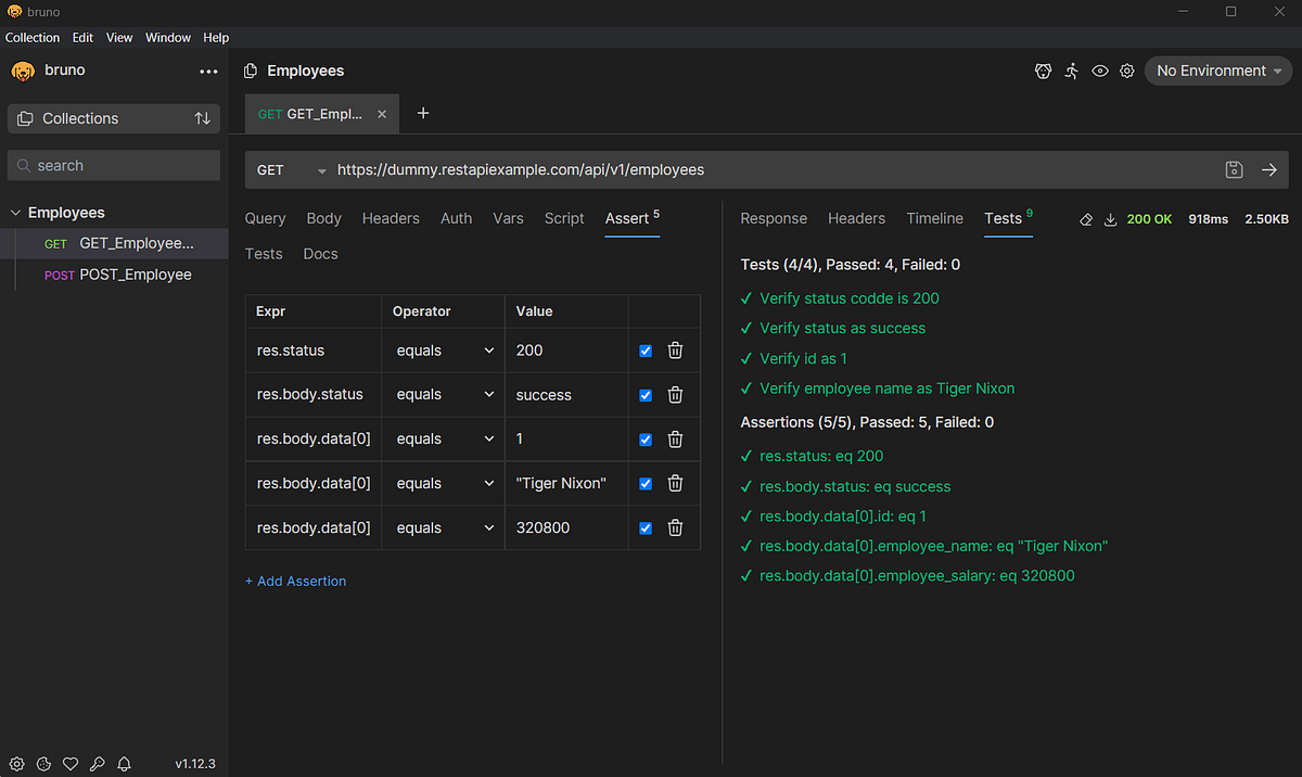 Bruno in Action: Optimizing API Automation with Advanced Assertions and ...