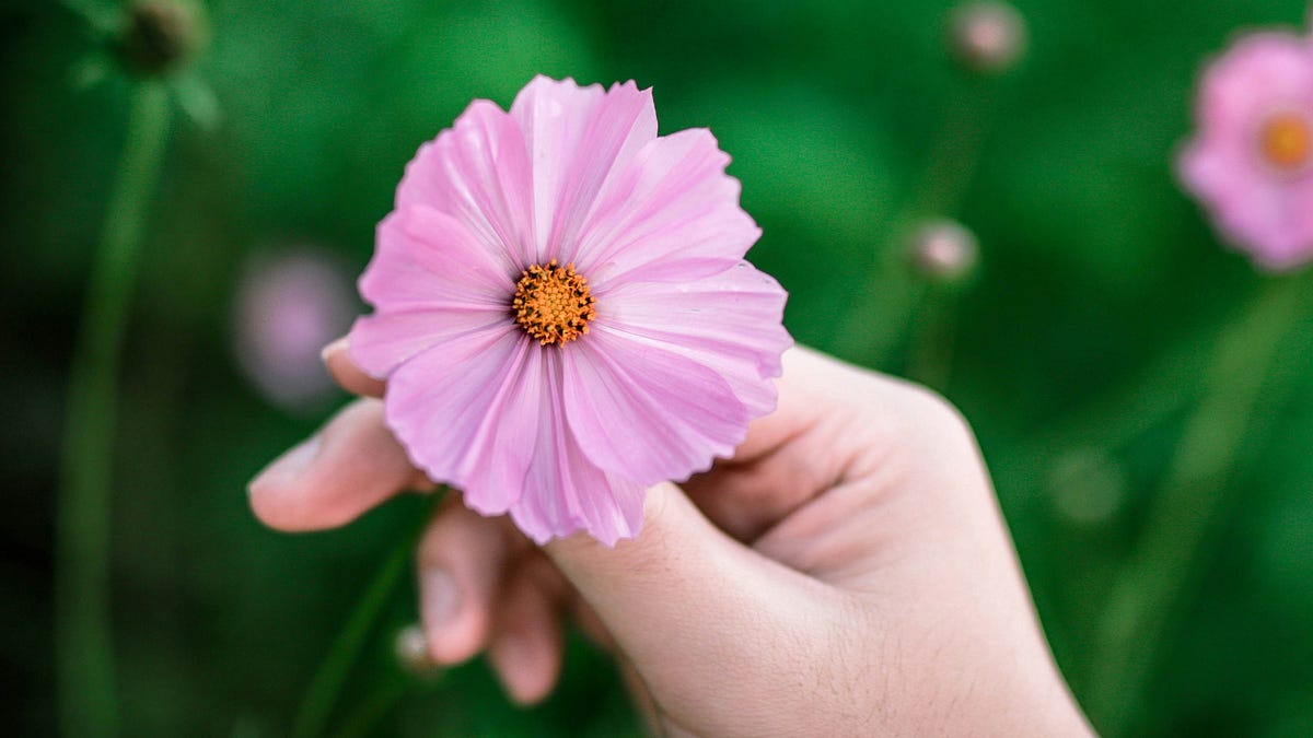 Positive Reflections on the Year gone by 2024(+Free Printable) | by ...