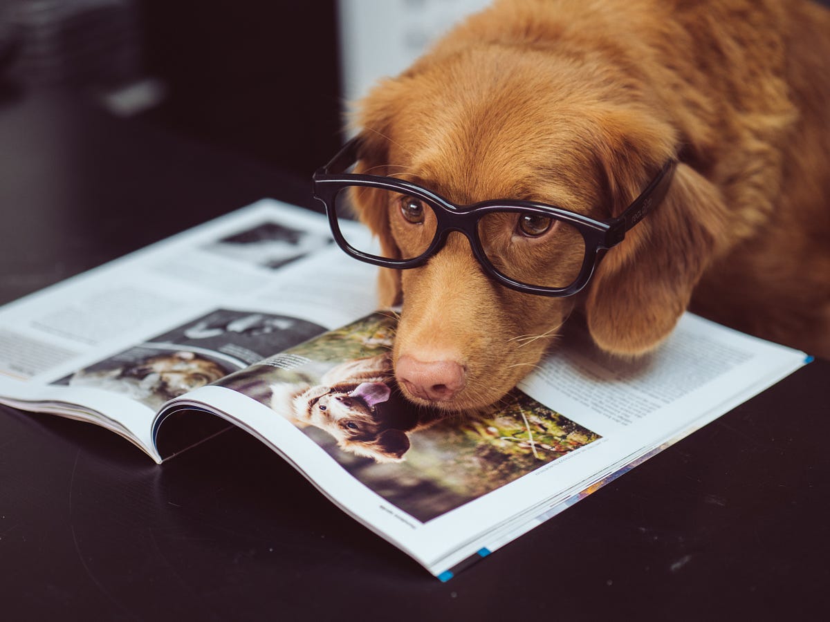 5 Tips for Explaining Tech Concepts to Non-Technical People | by ...