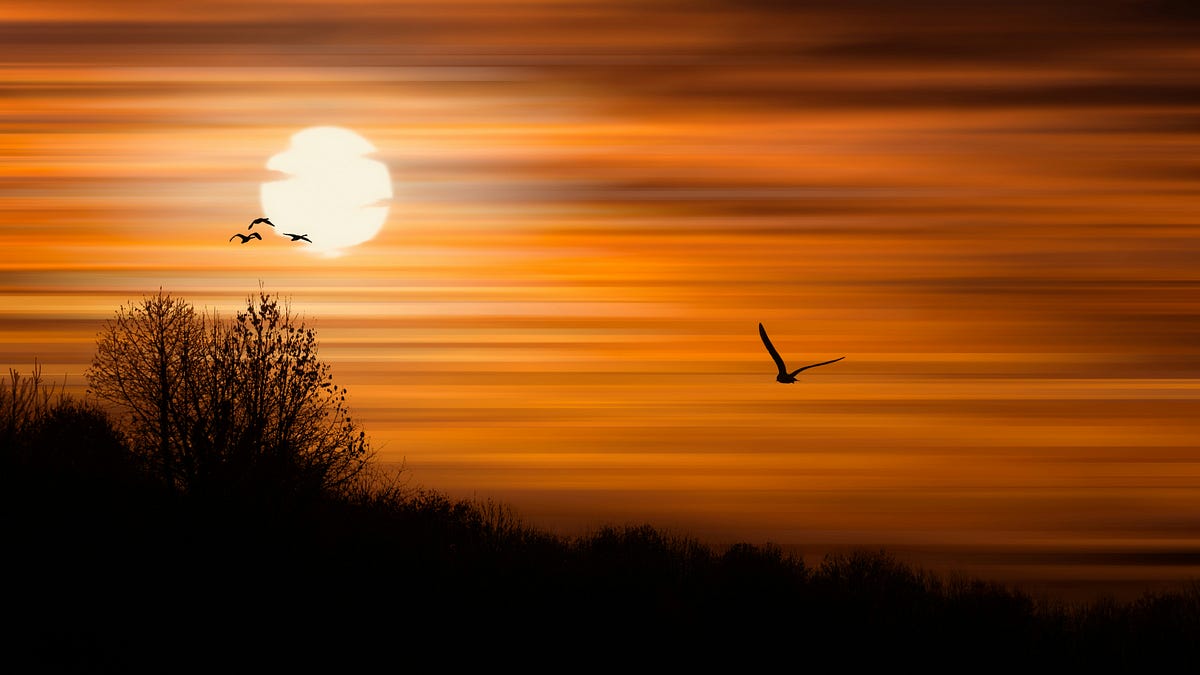 Unbound - Anitha Jayasankar - Medium