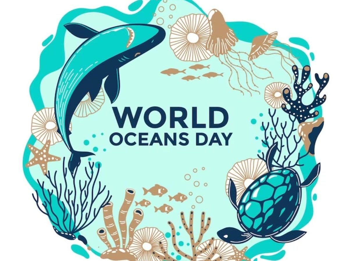 Celebrating World Oceans Day: Our Collective Responsibility | by Ira Sahani | Medium